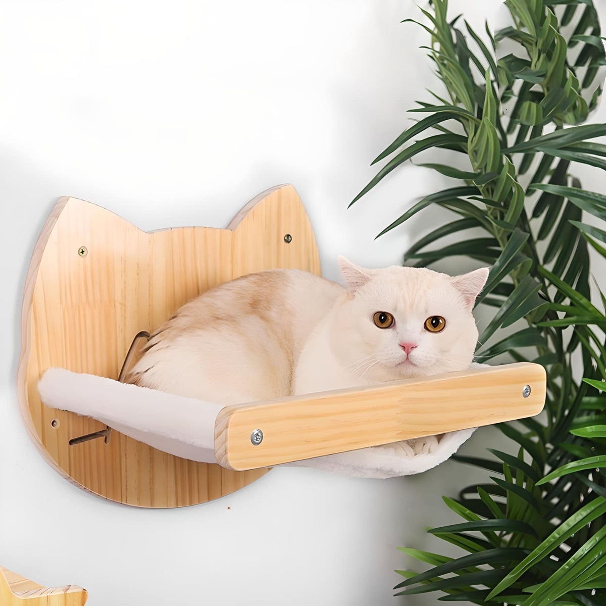 Cat Shelf: Find the Purrfect Elevated Feline Oasis for Your Cats